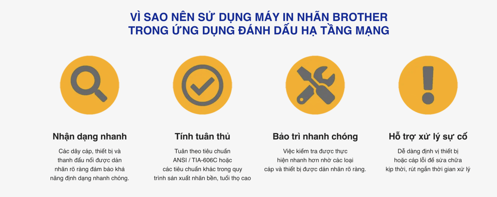 Hướng dẫn chọn và sử dụng nhãn in Brother TZe Series từ A-Z - 2025